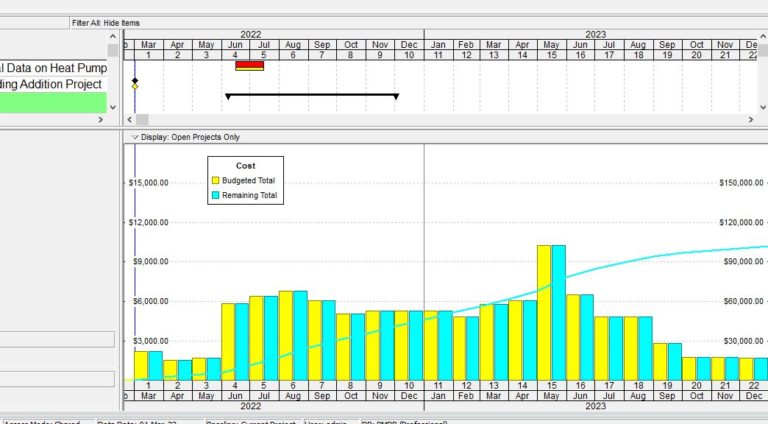 How to Create S-Curve in Primavera P6 - Project Management Services and ...